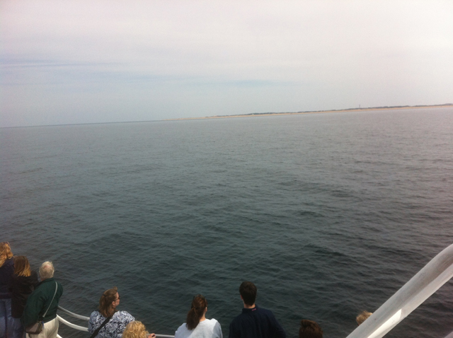 Whale Watching in Massachusetts Bay (April Date) - I am a Honey Bee