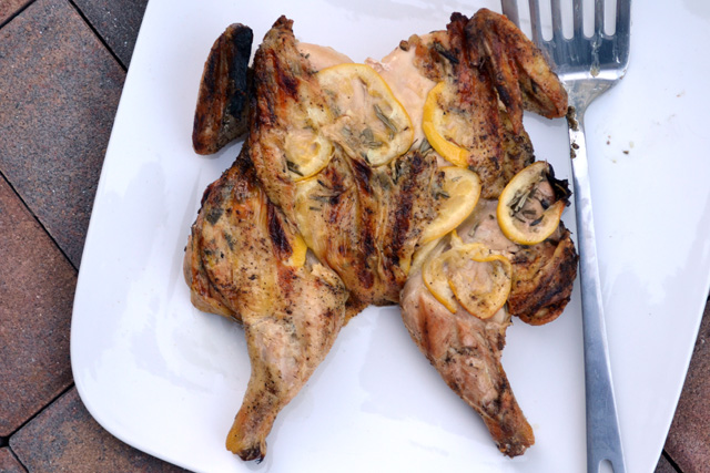 Grilled Brick Chicken - I am a Honey Bee